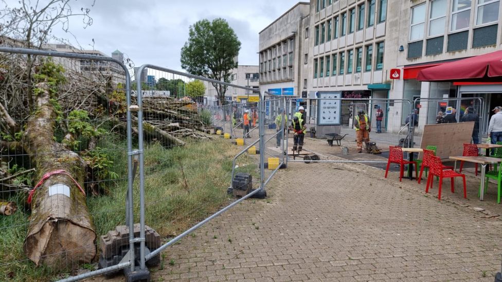 Armada Way: Tree stumps removed in city centre clean-up - BBC News