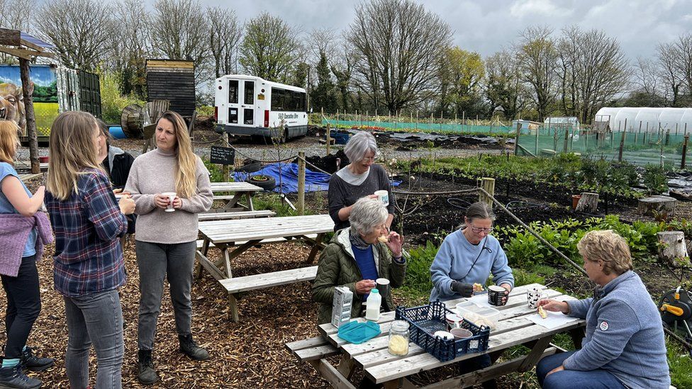 Women's Shed: Swansea farm offers friendship and purpose - BBC News