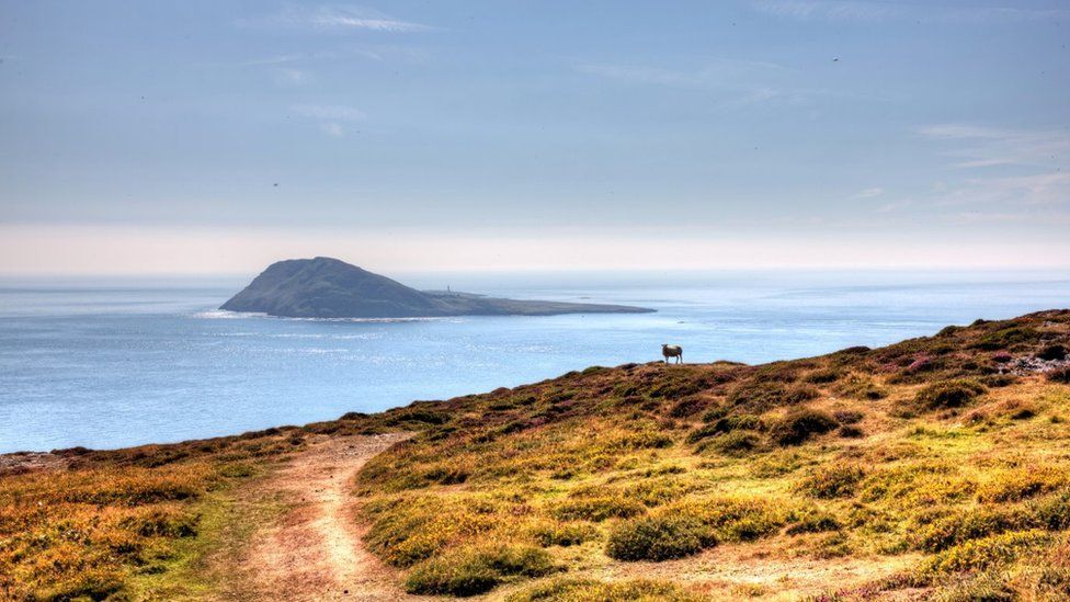 Cwmni'n cefnu ar gynllun ynni llanw ger Ynys Enlli - BBC Cymru Fyw