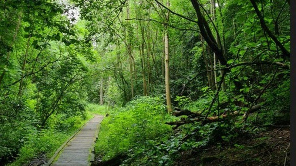 Manchester: Broadhurst Park to become city's tenth nature reserve - BBC ...