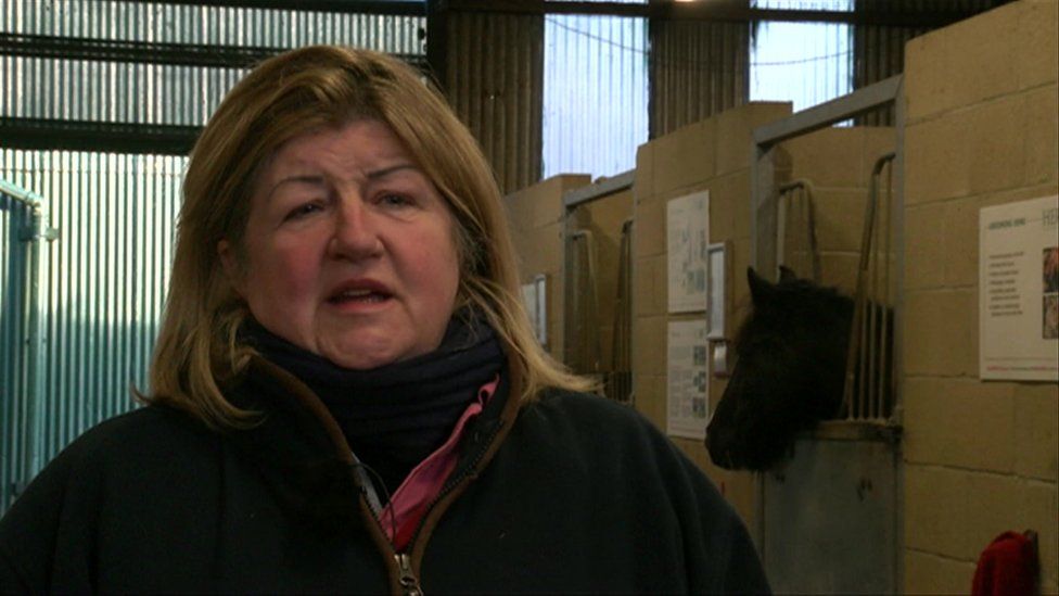 Oxfordshire horse charity HEROS helps SEN students - BBC News