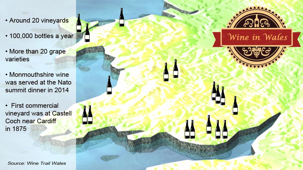 Sparkling future hope for Welsh wine industry - BBC News