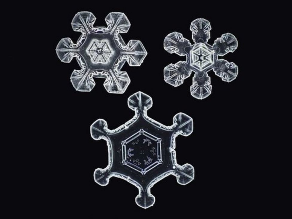 In Pictures: High-res snowflake camera captures magical images - BBC ...