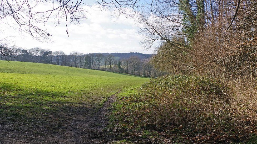 Chilterns Area of Outstanding Natural Beauty could expand - report ...