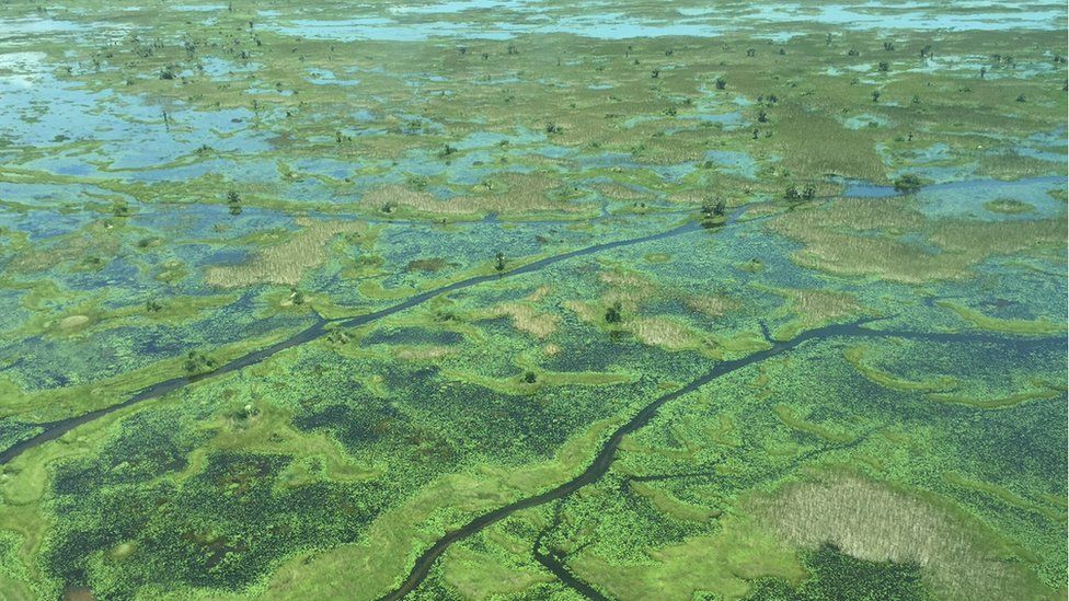 South Sudan's men of dishonour - BBC News