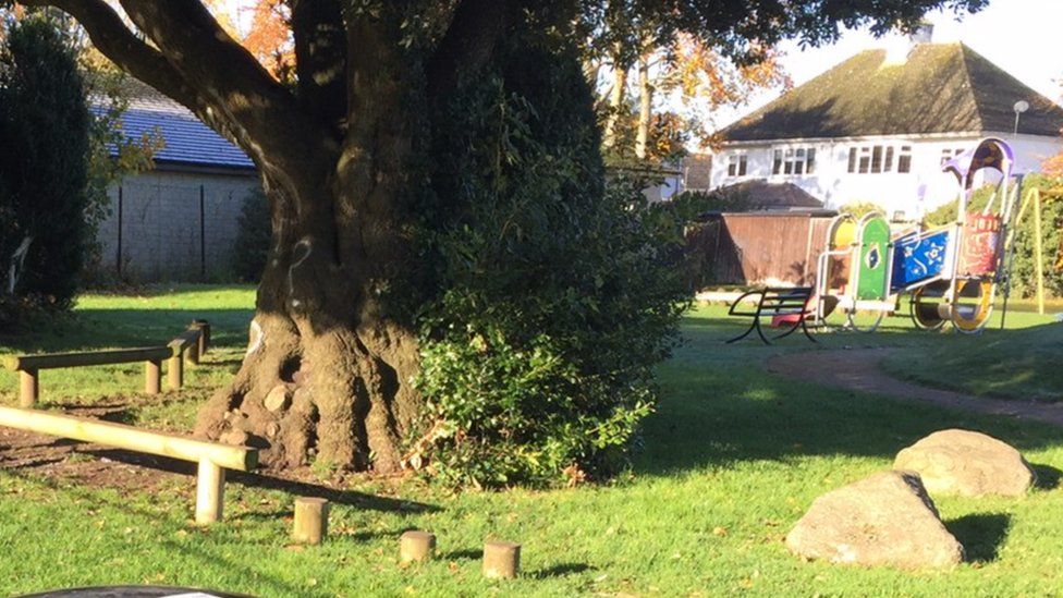 Swastika and racist symbols sprayed on Woodstock tree - BBC News