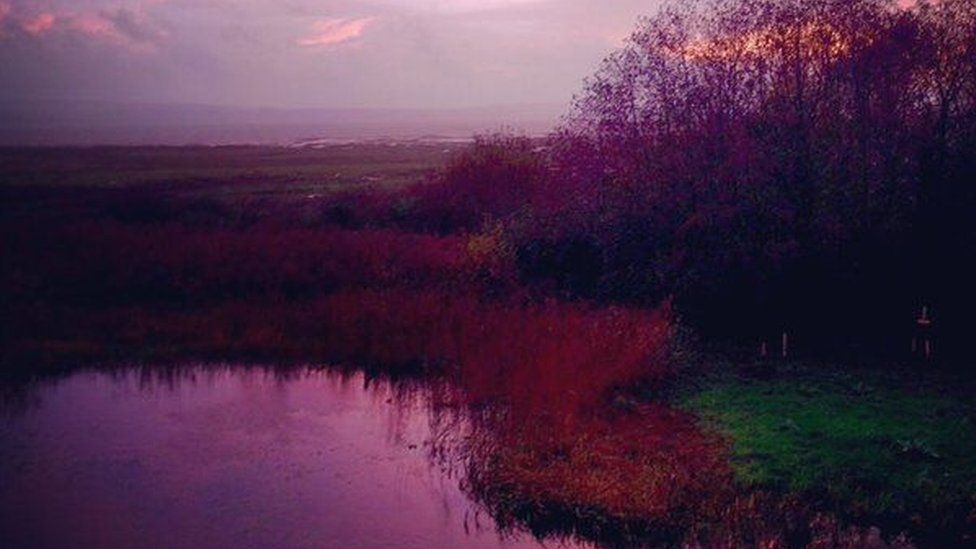 WWT Llanelli Wetland Centre celebrates 25 years - BBC News