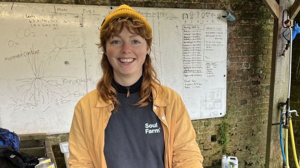 Soul Farm organic veg project offers shares in bid to expand - BBC News