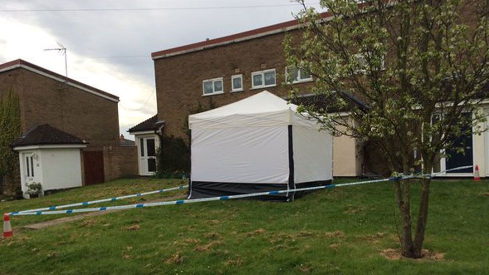 Four arrested after man found hurt in a Stevenage street dies - BBC News