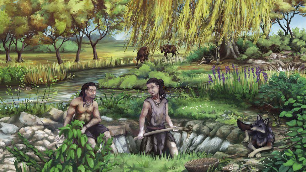 Mesolithic pits found on Houghton Regis building site - BBC News