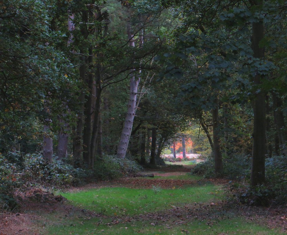 England's Big Picture: 31 October - 6 November - BBC News