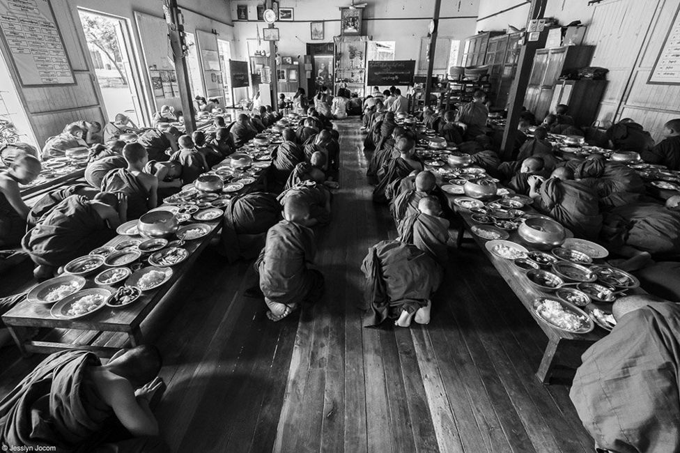 Slurping Spaghetti and other food photo contest winners - BBC News