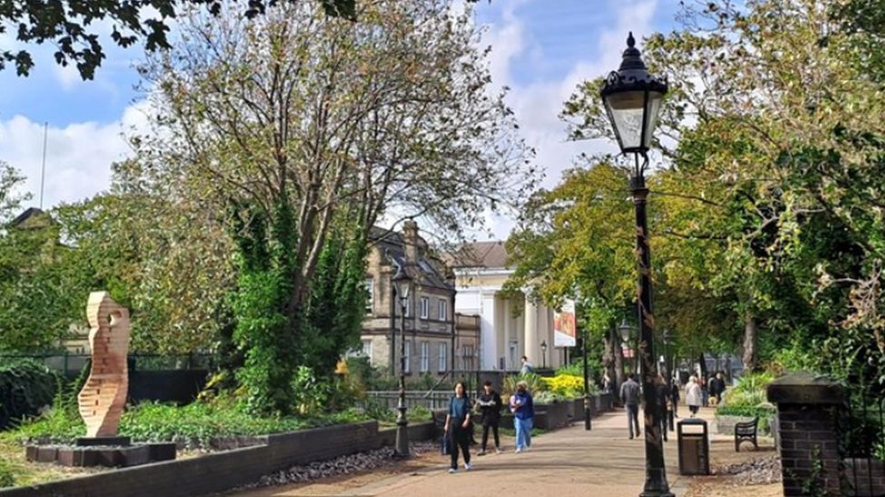 New Walk: Trees to be felled on part of historic city route - BBC News