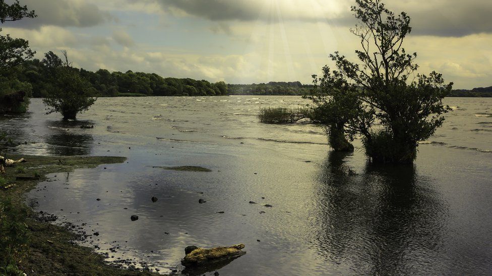 David Attenborough: New BBC series all about British Isles - BBC Newsround