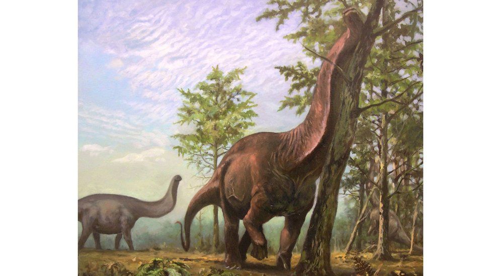 New study finds that Brontosauruses loved warm weather - BBC Newsround