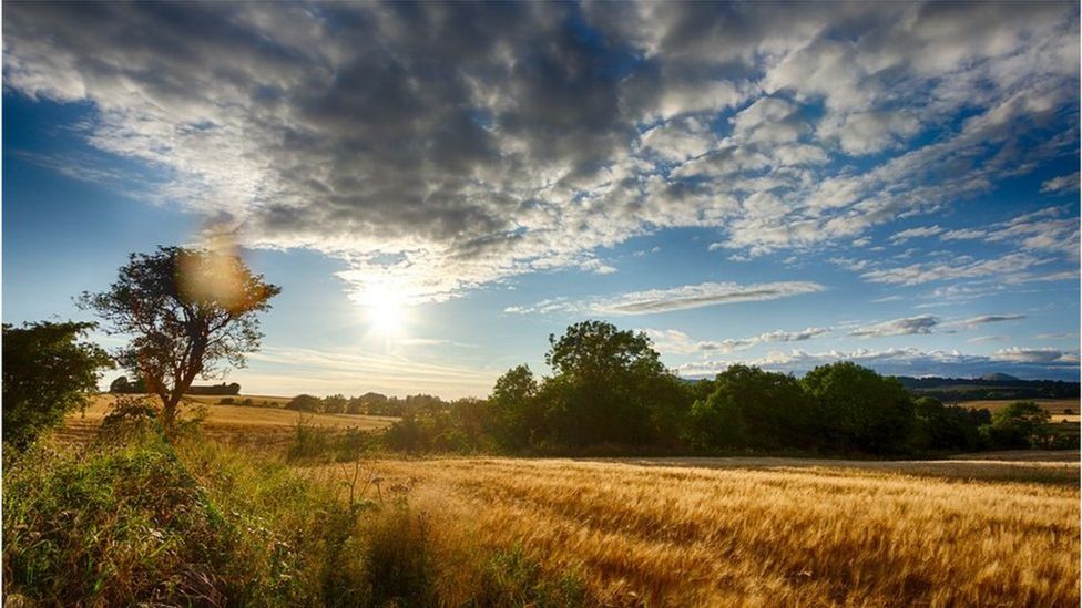 Your pictures of Scotland: 25 August - 1 September - BBC News