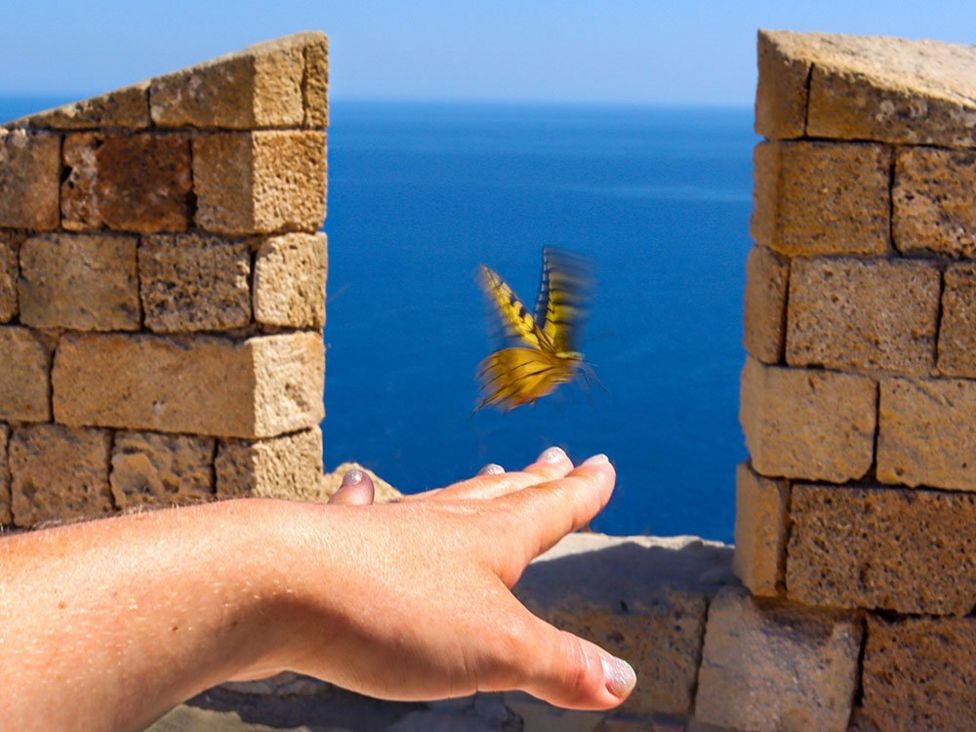 Your pictures on the theme of 'tiny creatures' - BBC News