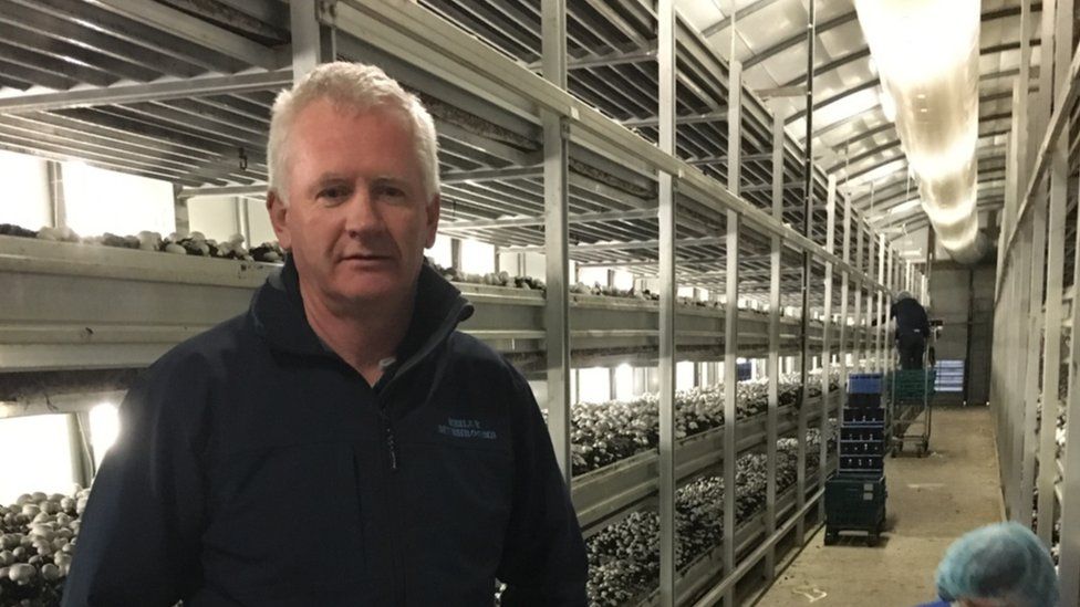 How will Brexit affect Irish exporters? - BBC News