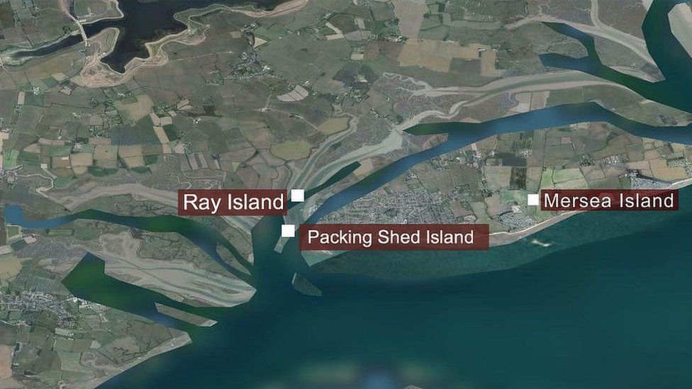 'Near-death' dog in dramatic Mersea Island sea rescue - BBC News