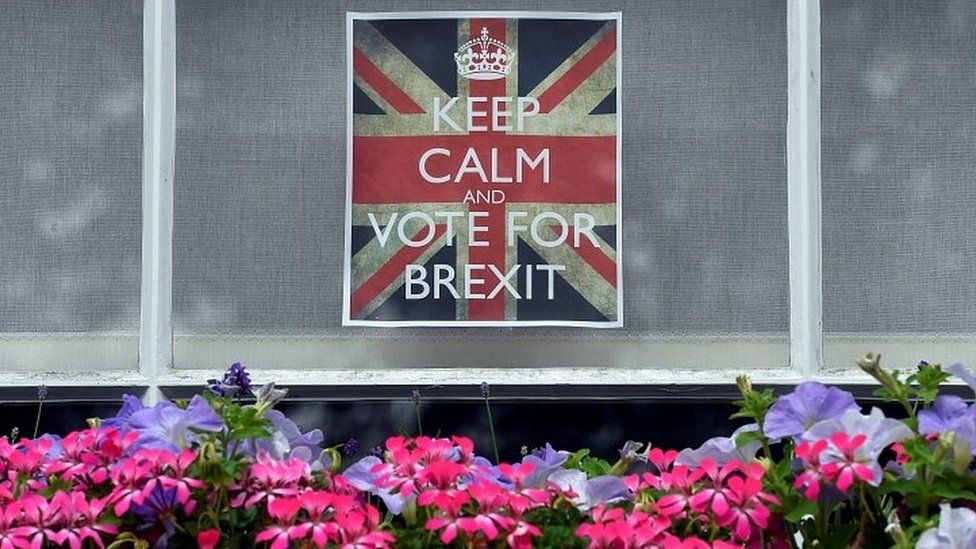 Populism: Pantomime politics or the public fighting back? - BBC News