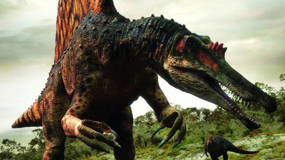 Spinosaurus dinosaur 'hunted underwater', new research finds - BBC News