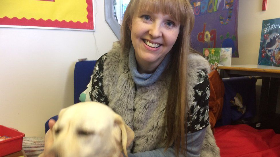 Meet the dog that's there to listen - BBC News