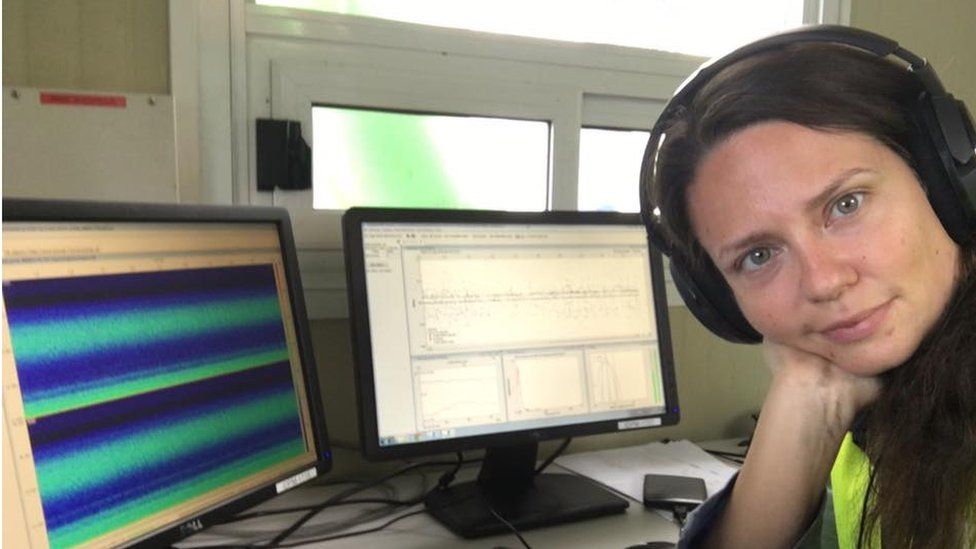 The County Down woman who gets paid to listen to whales - BBC News