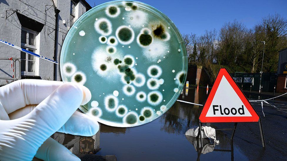 UK floods: The awful things waters wash into your home - BBC News