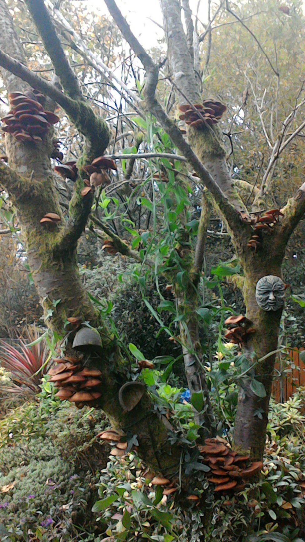 Your pictures of Scotland: 13 - 20 October - BBC News