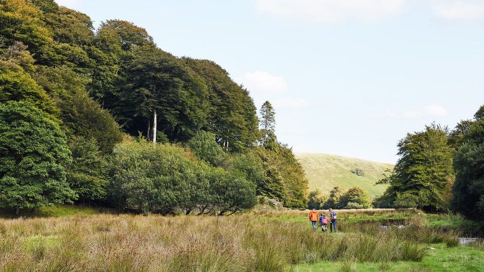 Exmoor big picnic marks 70 years of national parks - BBC News