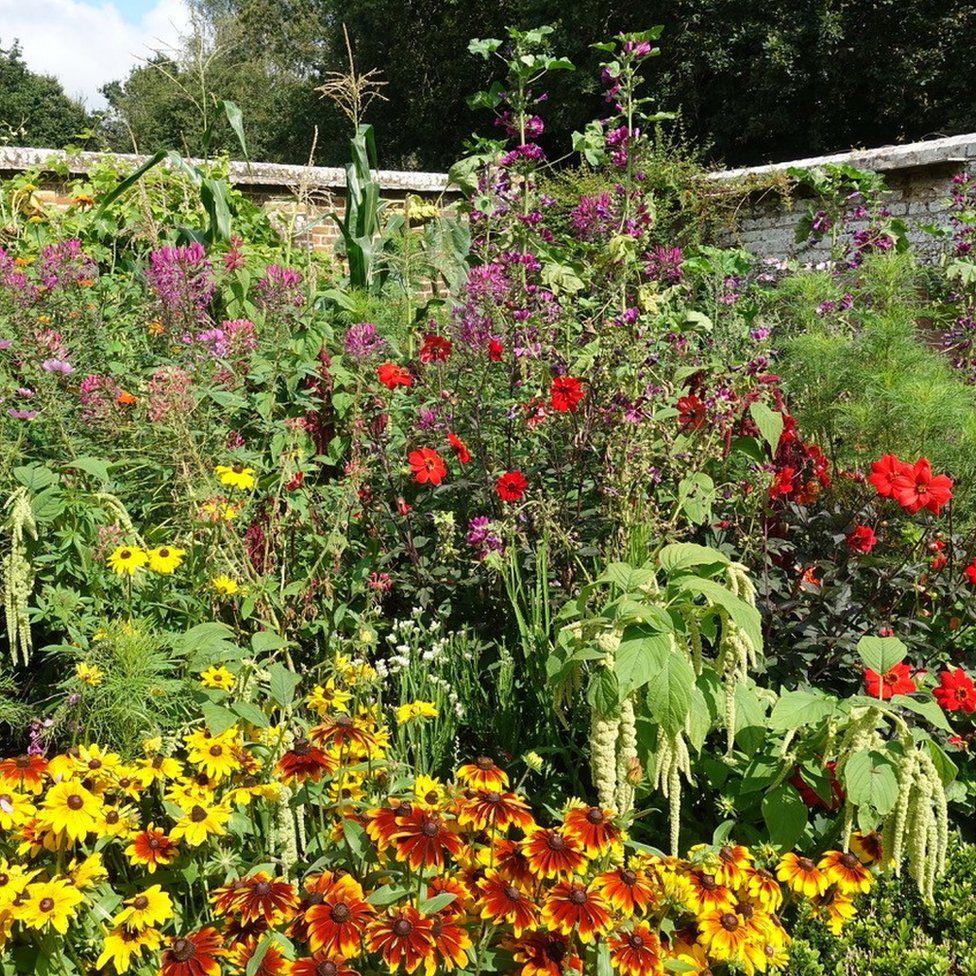 England's Big Picture: 23 August - 29 August - BBC News