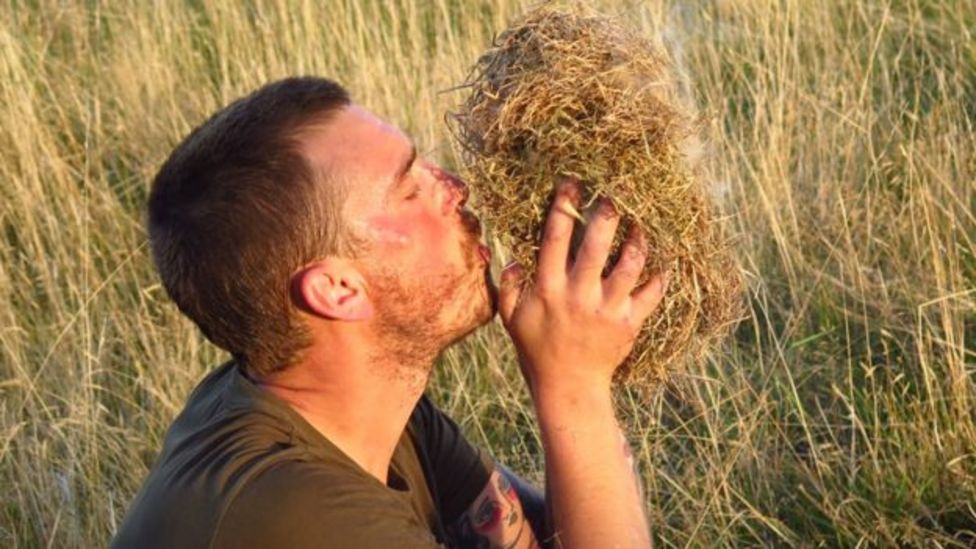 Carwyn Jones: O'r Dyn Gwyllt i artist y dannedd morfil - BBC Cymru Fyw