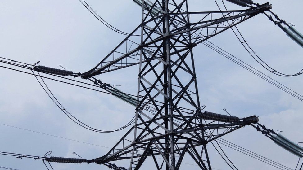 Goose cable strike leaves thousands without power - BBC News