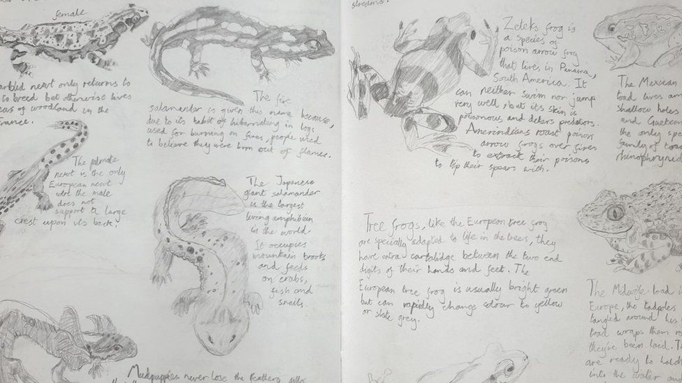 Oxfordshire man completes childhood book of animal drawings - BBC News