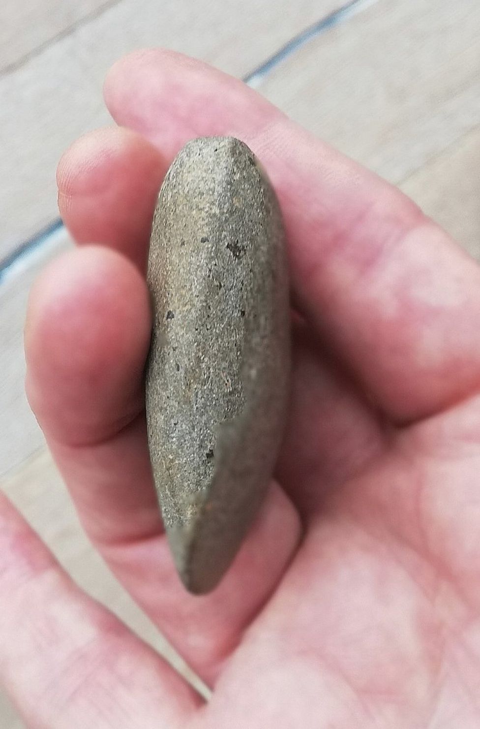 Digital 'dig' puts archaeology online - BBC News