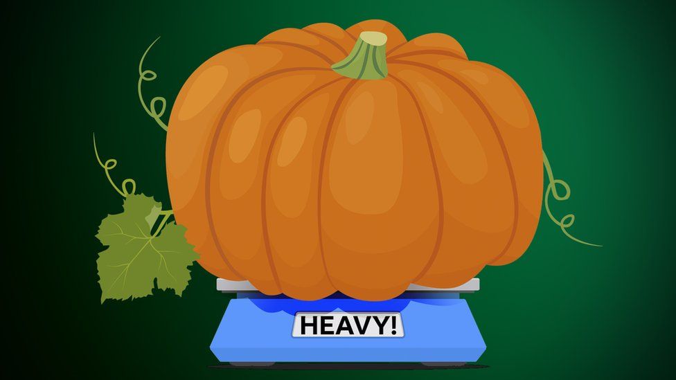Record-breaking pumpkin weighs the same as a horse - BBC Newsround