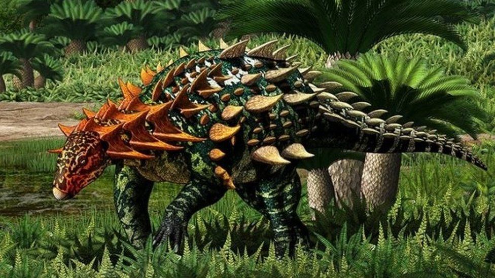 Newly-discovered dino was ancient cousin of Stegosaurus - BBC Newsround