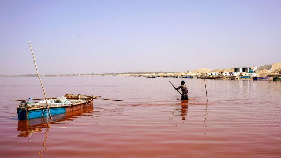 World Cup 2022: Facts about Senegal - BBC Newsround