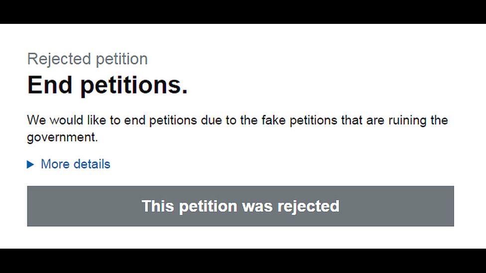 The e-petitions sent to government that get rejected - BBC News