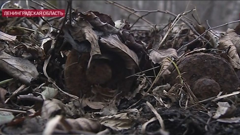 Russia minefield found by major road - BBC News