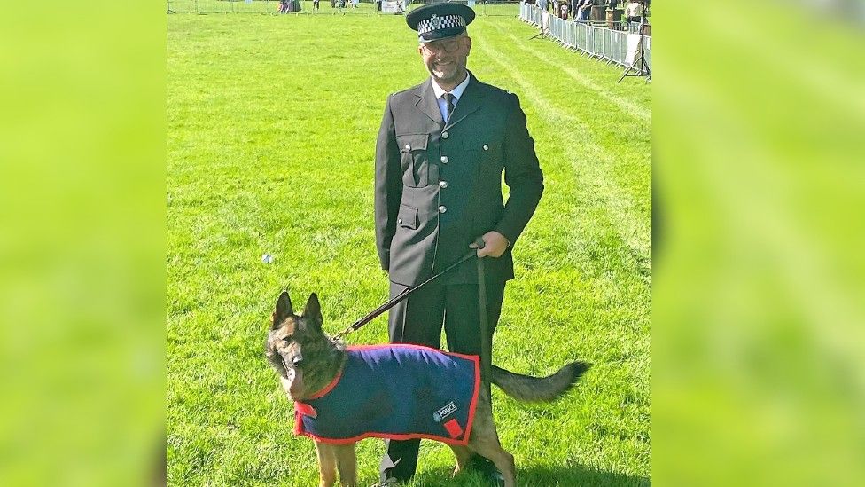 Somerset police hound is top dog at national canine trials - BBC News