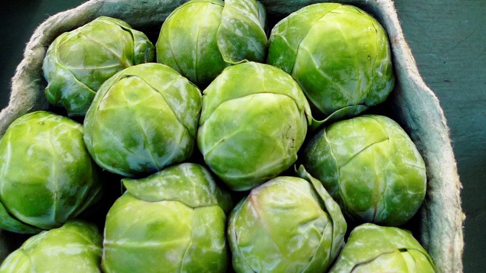 Sprouts 'cheapest for half a decade' - BBC News