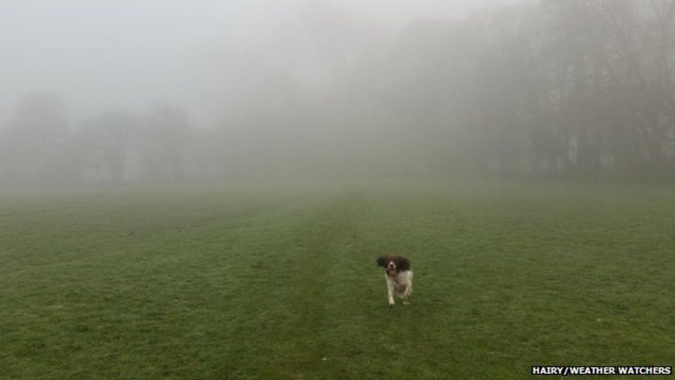 Gallery: One foggy Tuesday morning - BBC Weather