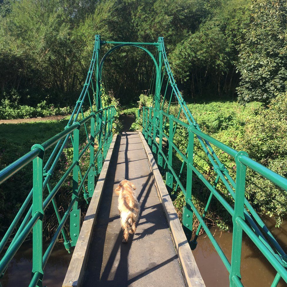 England's Big Picture: 11 - 17 September - BBC News