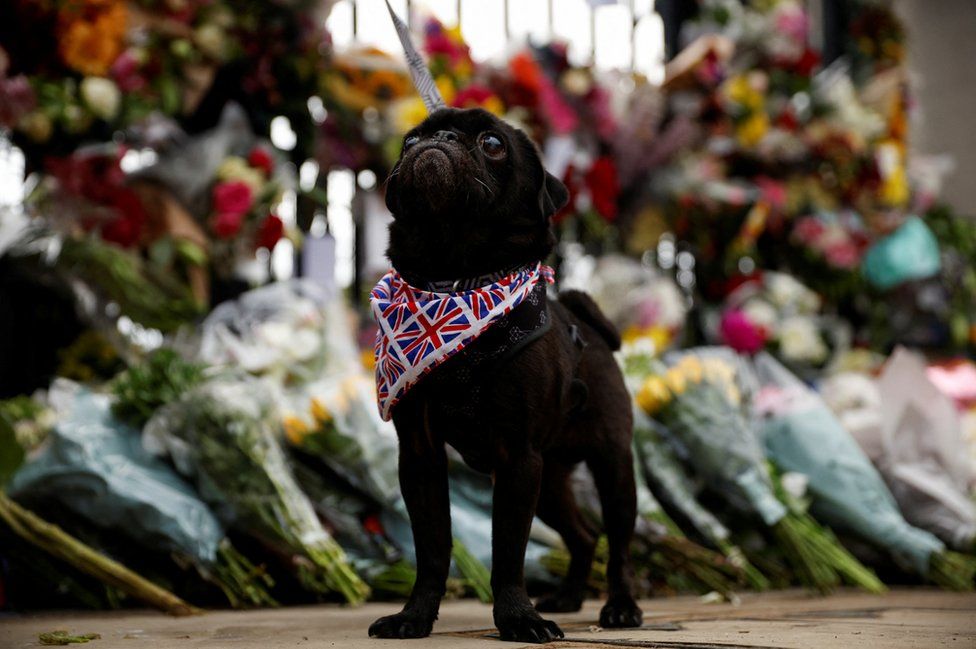 In pictures: London's unique tributes to the Queen - BBC News