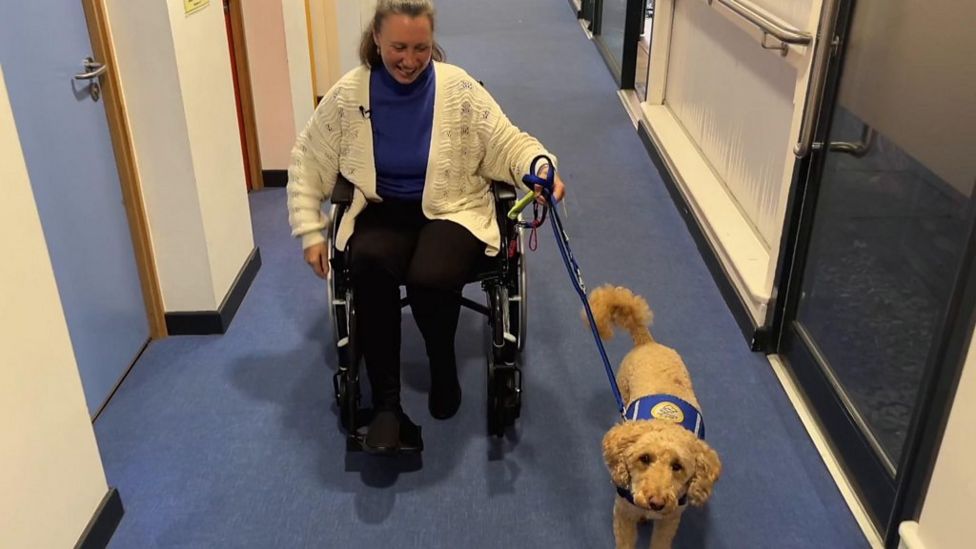Brixton: 'Dog day care traineeship gave me sense of belonging' - BBC News