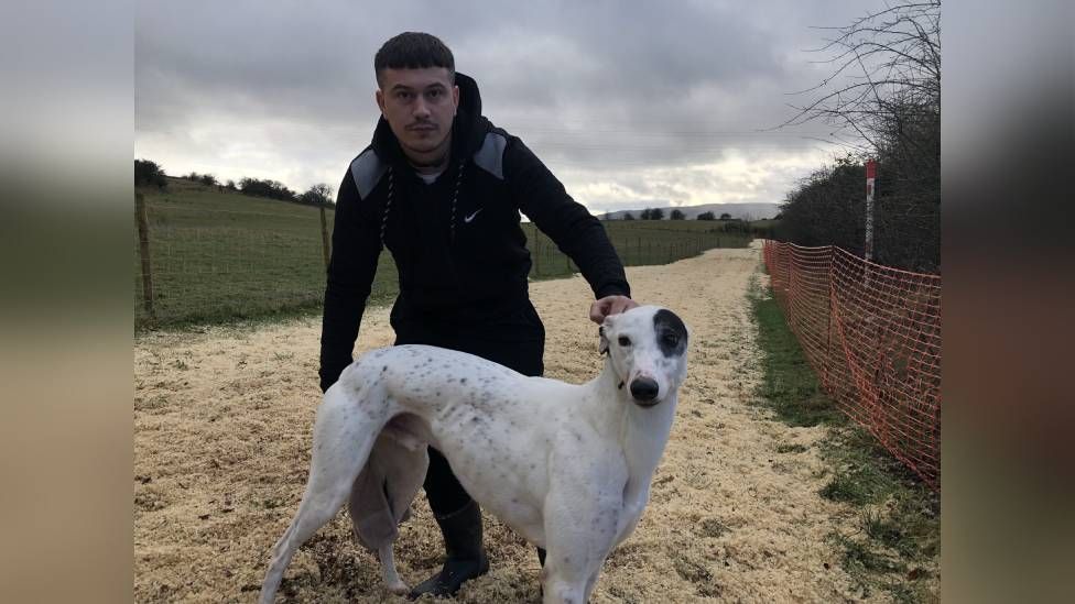 Greyhound track in Caerphilly opposed by thousands - BBC News