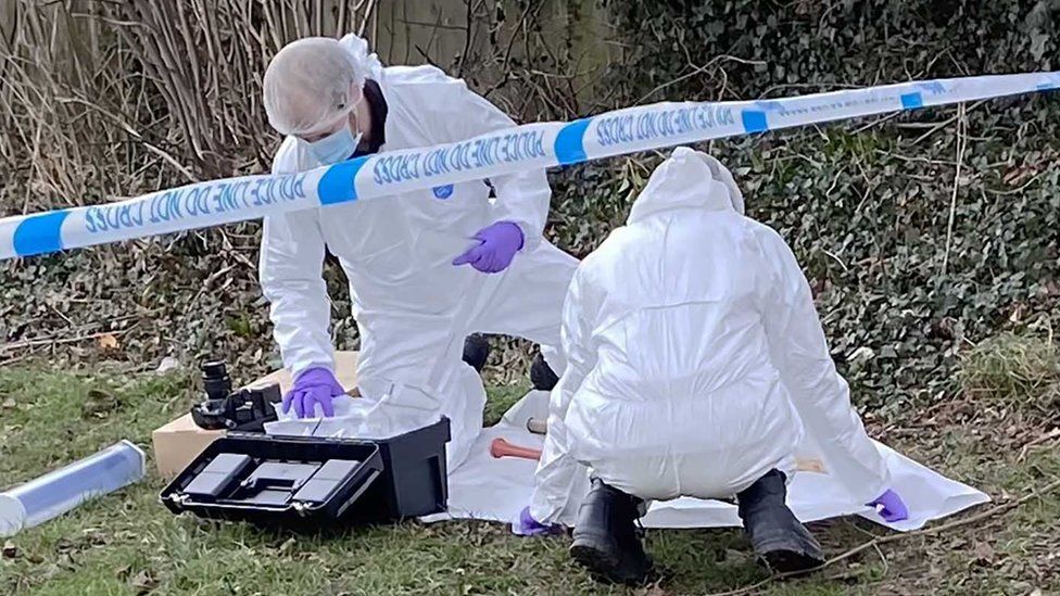 Stevenage murder investigation after attacked man dies - BBC News