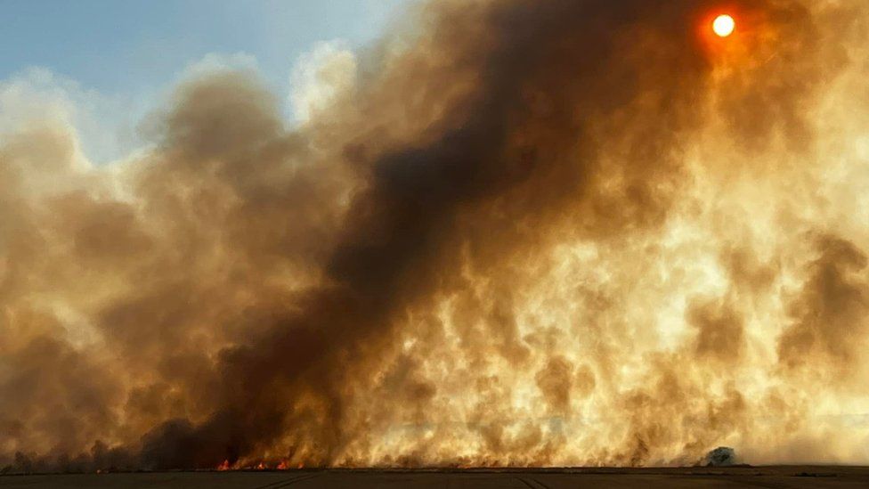 Catching Fire Force Field