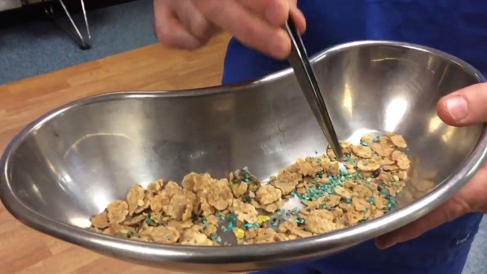 Guiseley vets warn pet owners after dog poisoning - BBC News